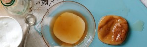Microbial diversity of kombucha - MicrobialFoods.org