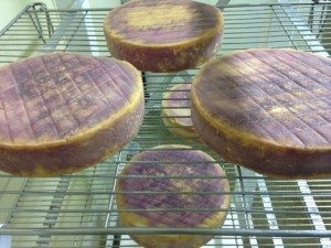 The curious case of the purple cheese rind - MicrobialFoods.org